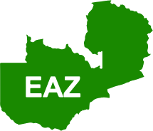Homepage - Economics Association of Zambia